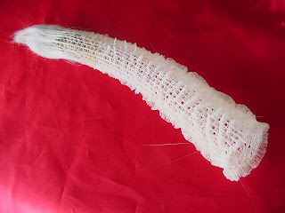 Porifera: Basic Structure