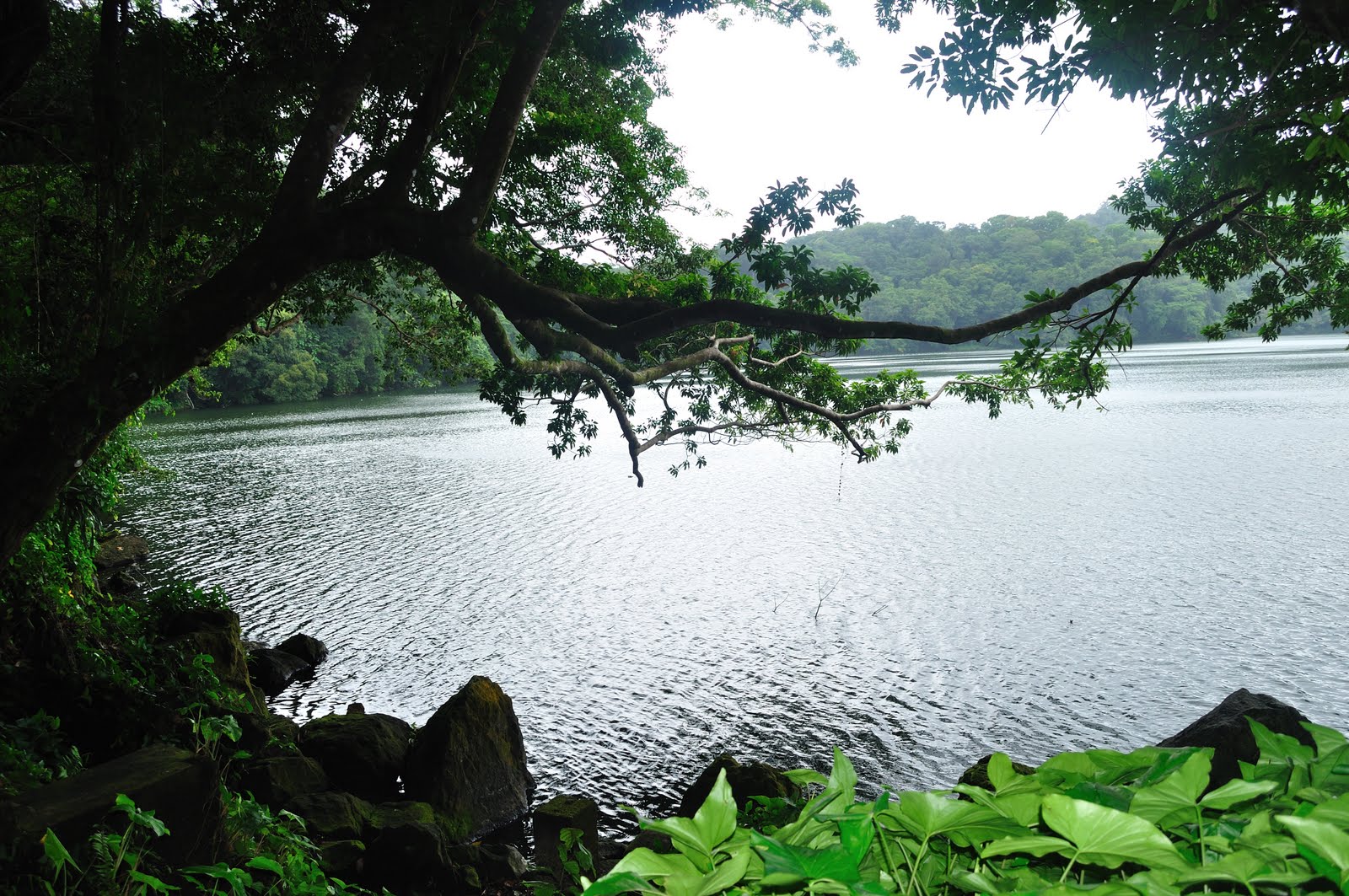 MySimpleLittleCorner: Just a little Adventure - Bulusan Lake