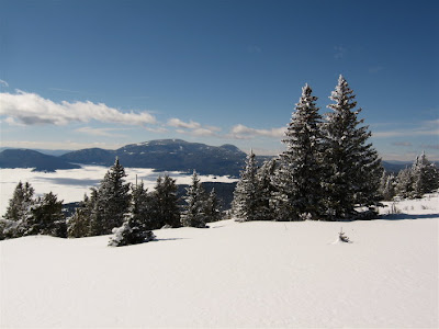 Valles Caldera East Rim--Pajarito Mountain and Cerro Rubio