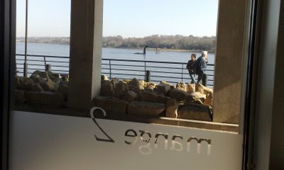 Martin McGinley - musings : Lough Foyle Monster!!