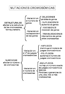 La Célula: DELECIONES