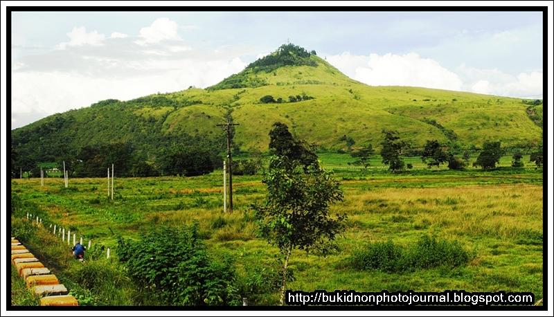 Bukidnon Photo Journal: Musuan Peak
