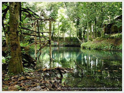 Bukidnon Photo Journal: Revisiting Nasuli Spring Resort in Bangcud ...