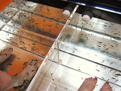 Crack [REPACK]_suite_adobe_2019