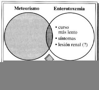 ancrisjul: METEORISMO ESPUMOSO