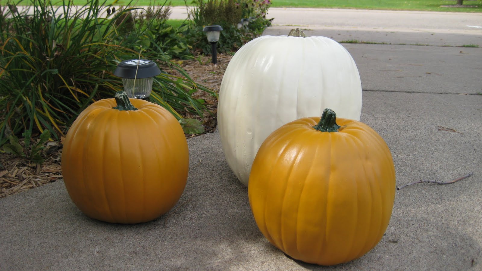W Design: Pretty Fancy Pumpkins