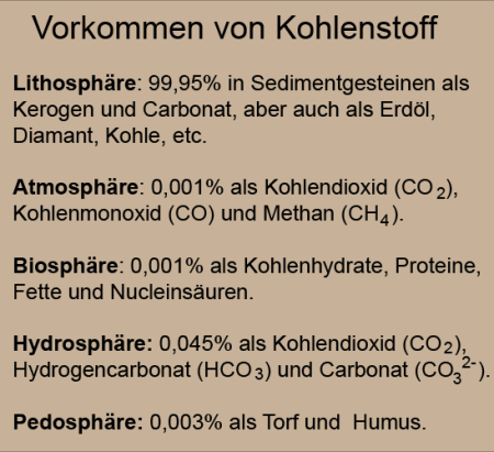 Nachhilfe Online: Der Kohlenstoffkreislauf