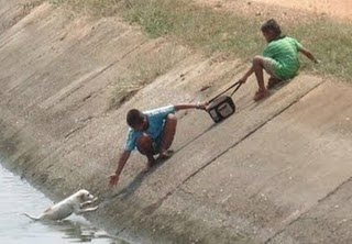 Inspirational: HOW DO YOU TELL A STORY WITHOUT WORDS