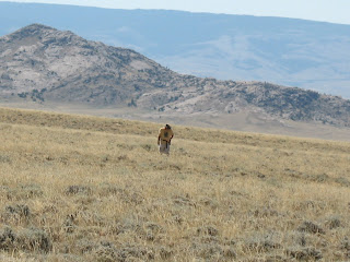 Doing It On The Road(Part II): Sweetwater Moss Agates at Agate Flats