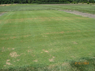 Turfgrass disease updates for golf courses: pythium and brown patch