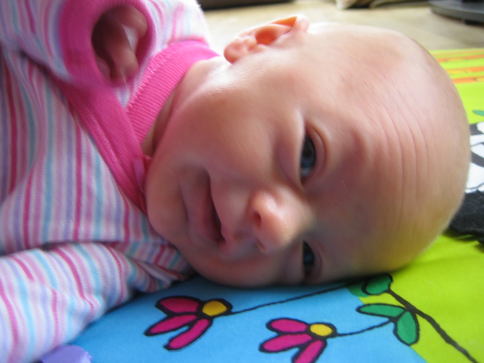 Parker Baby!: 3 weeks old today!!! Where does the time go???