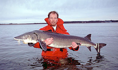 come on: St. Lawrence River