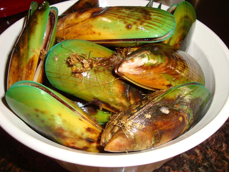 PAPRIKA NA FEIJOADA: New Zealand green-lipped mussels - mexilhões de ...
