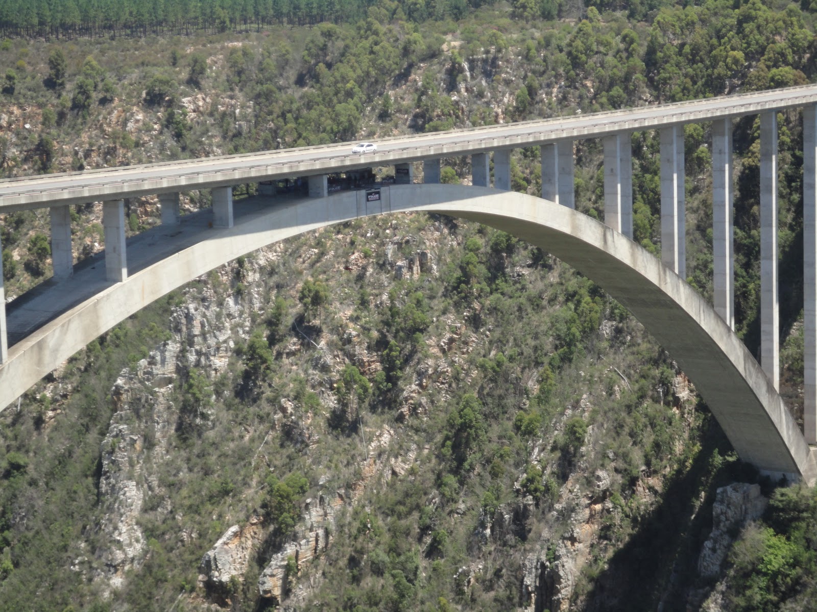 Steffi goes Eikestad: Garden Route