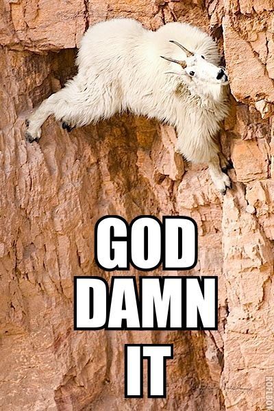 Gentle Art of Meme: God Damn It