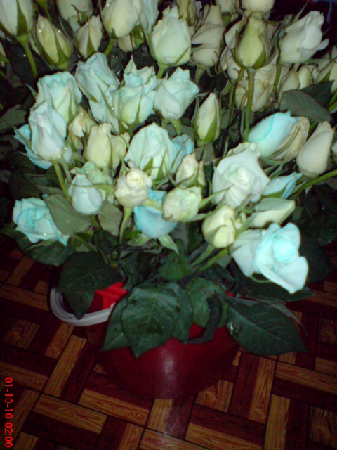 Nurfisza-Florist: Ros Biru to My Sepang Customer