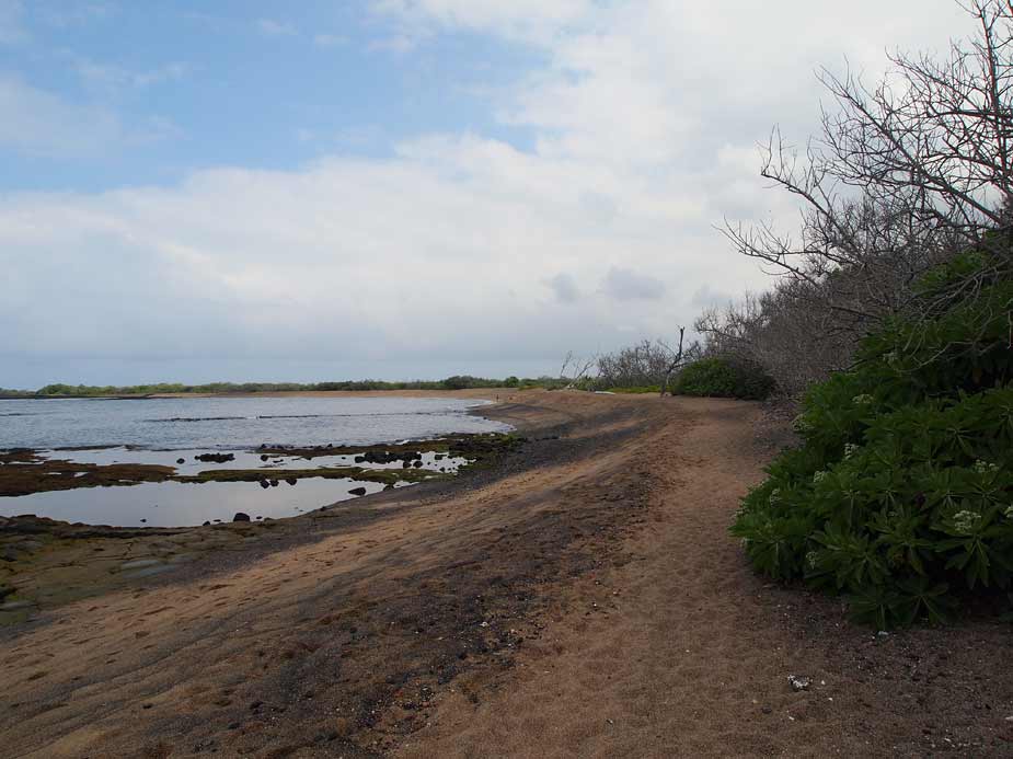 A Kona Hawaii Scuba Diver blabbers on: Kaloko Honokohau National Park ...