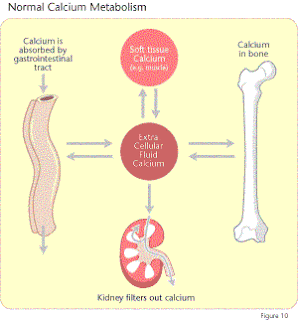 Pharmacy Geeks: Hypercalcemia in MRCP (1)