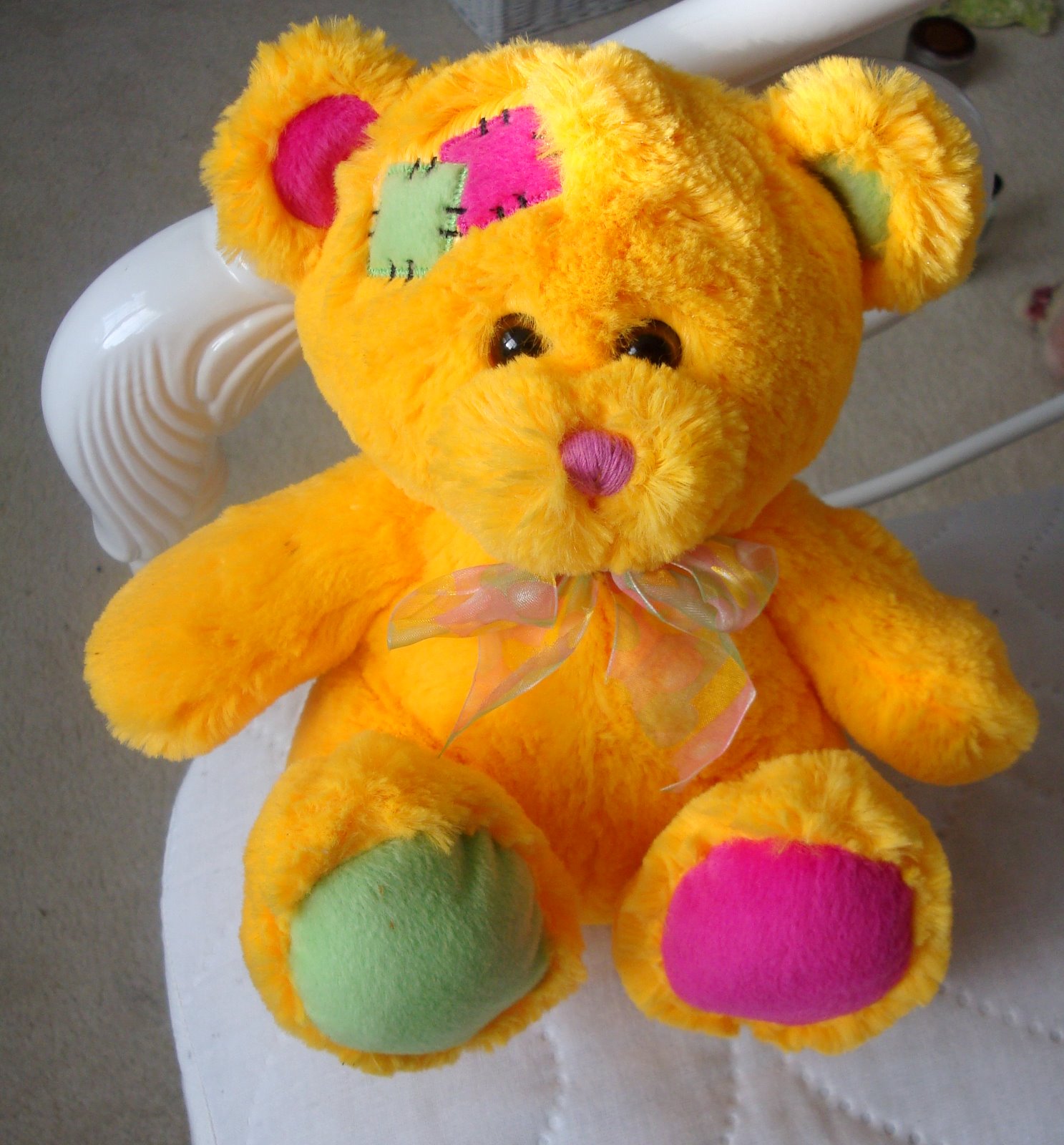 Salty Snaps Shots and the Whatnot: Teddy Got Boo-Boo - Colorfully Cute Too!