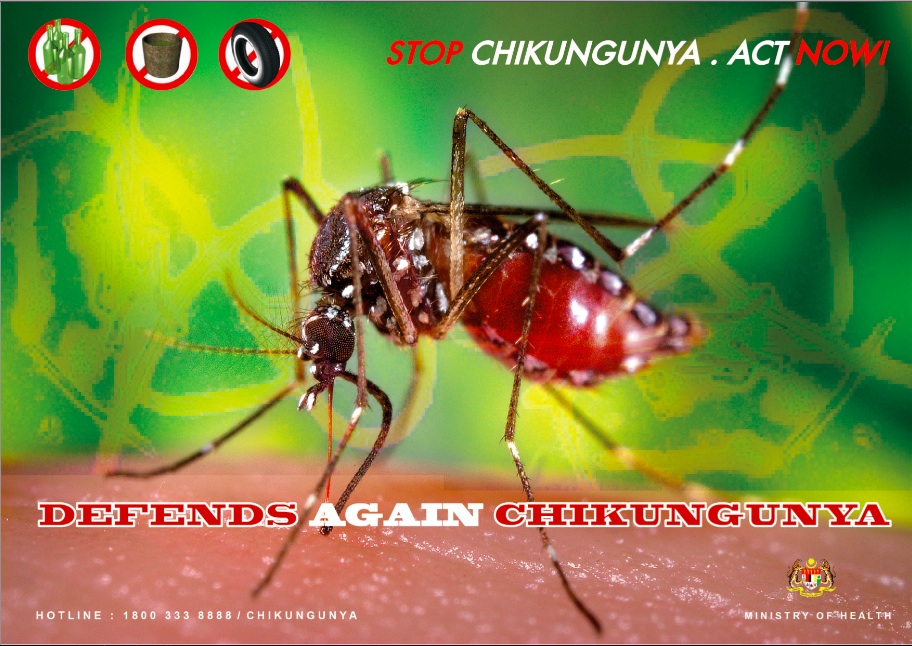 Design Process For Digital Media :: Syafiq Azhar