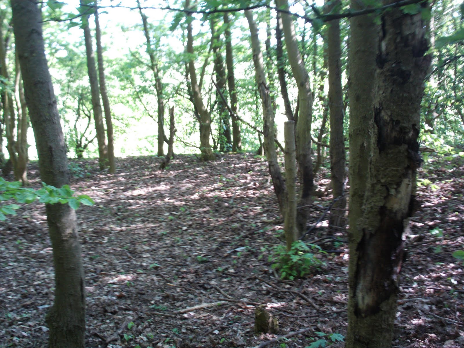 Sam Eyre's Foundation Portfolio