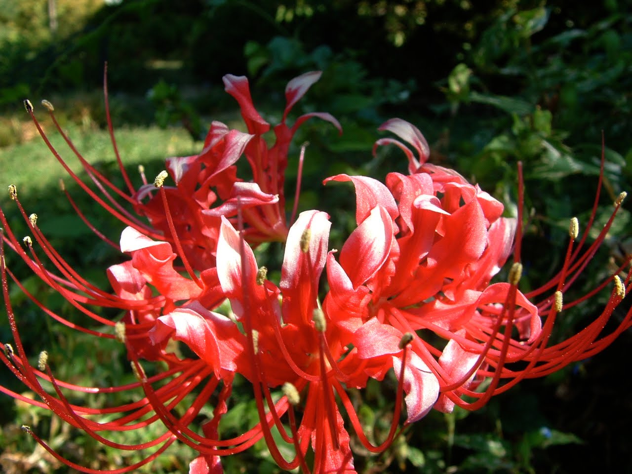 Ryan's Record Crate Mix 1