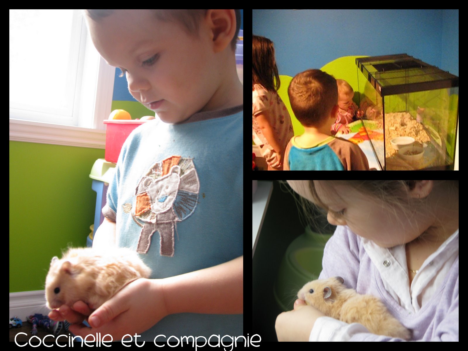 Notre Grubule...! | Coccinelle et compagnie!