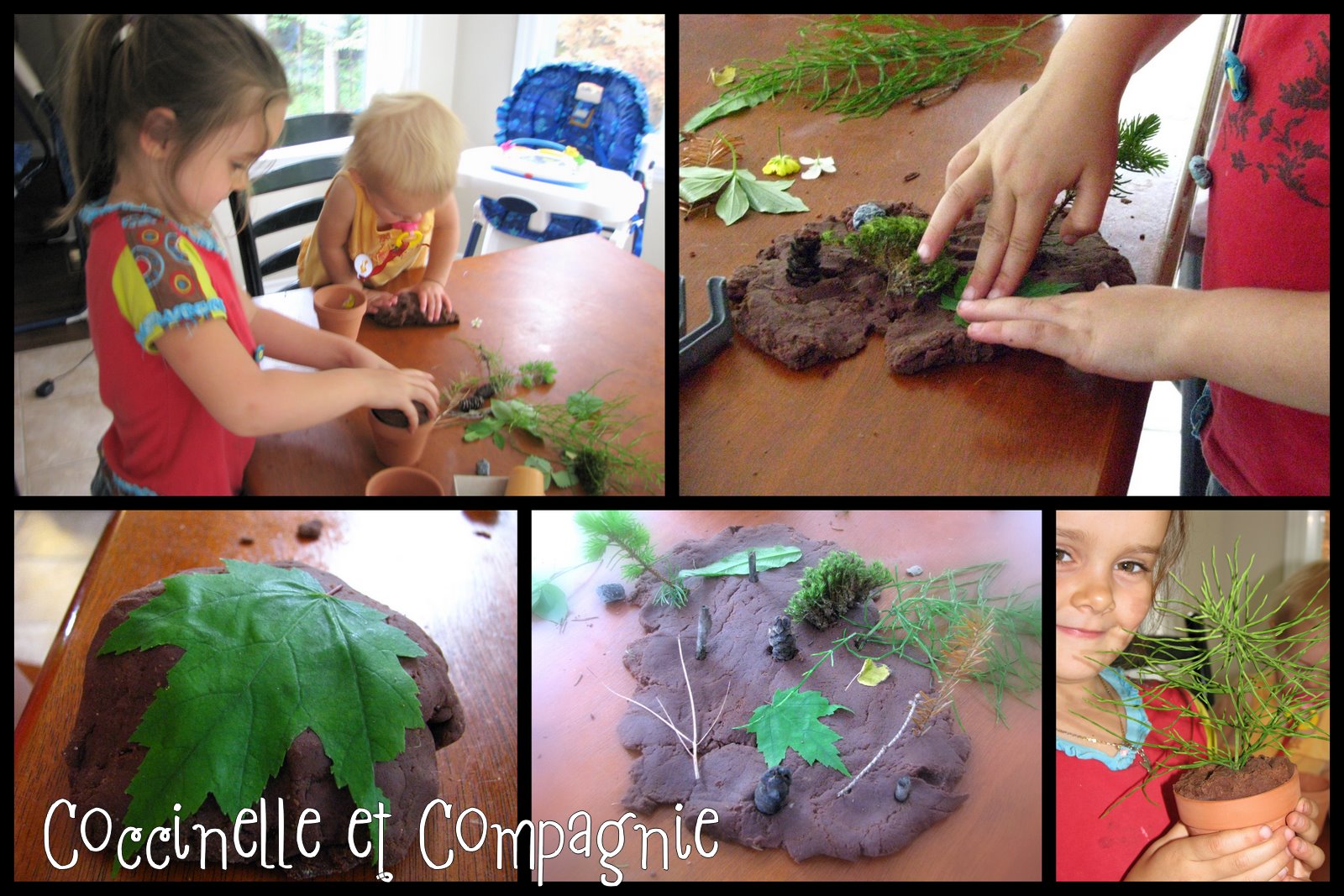 Jardin de pâte à modeler | Coccinelle et compagnie!