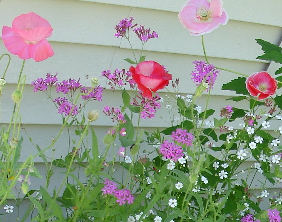 Calm Energy: Some Pretties for Friday