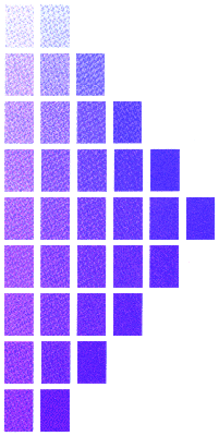 Arte vs Diseño.: Colores Cromáticos