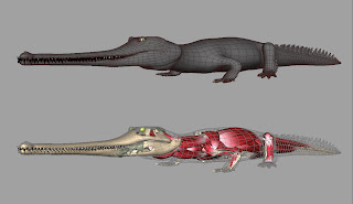 Digital Thoracosaurus Production Blog: LOTS of Progress!!!