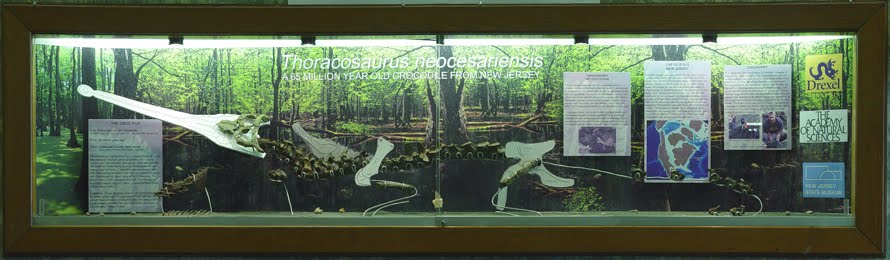 Digital Thoracosaurus Production Blog: LOTS of Progress!!!