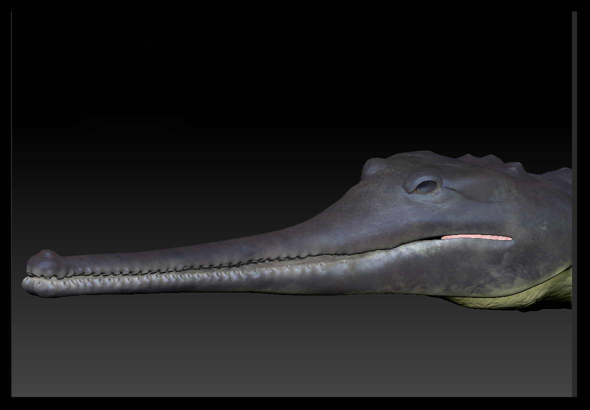 Digital Thoracosaurus Production Blog: Skin Painting