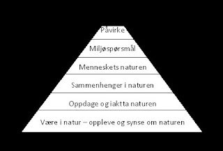 Pedagogikkbloggen til Bertin: Læring eller friluftlivsaktiviteter