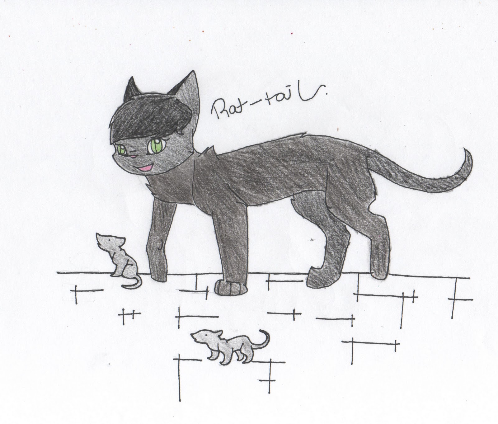 Insider on the World of the Warrior Cats: Rat-tail