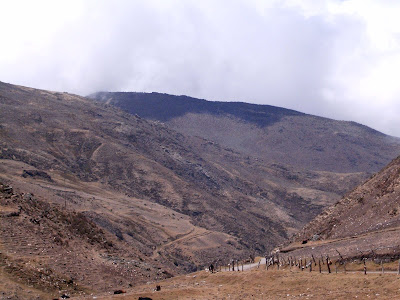 SENDERISMO POR EL ESTADO MERIDA VENEZUELA: PICO EL COLLADO DEL CONDOR ...