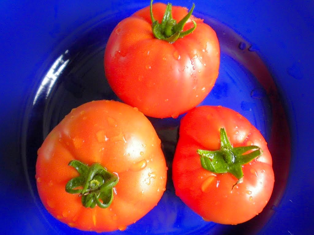 r L n -- really LOVE now! : The PARABLE of the TEN Tomatoes