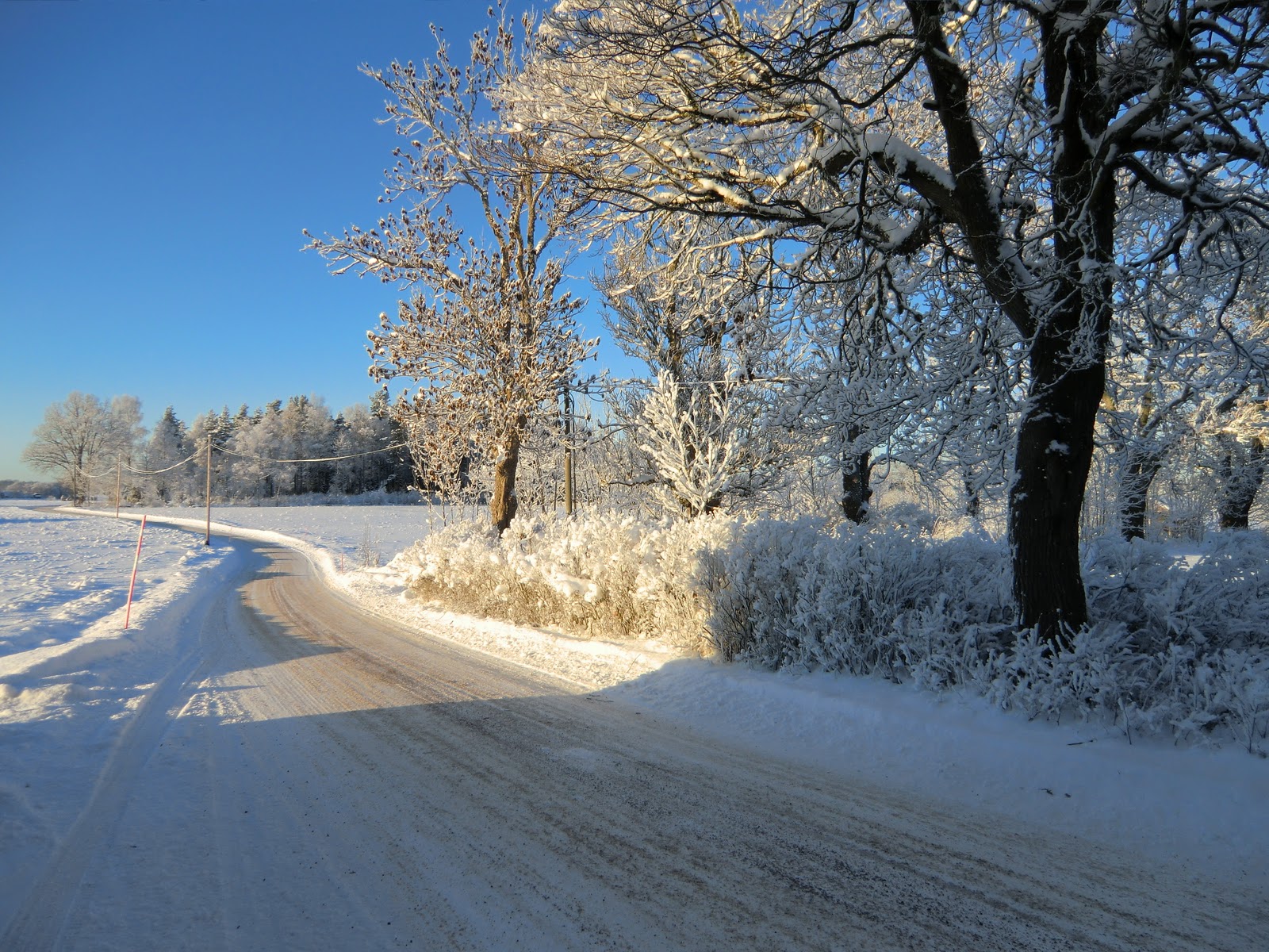 Kjerstis mat och prat: Mera vinterbilder