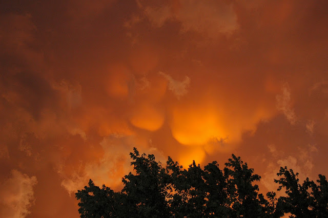 Michele's Nature Blog: Morrison Loop Area, Late Summer, Loveland, Colorado