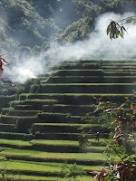 Sagada Rice Terraces | sagada-igorot.com