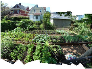 bk farmyards: Our Story