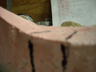 Foot and Ankle Problems By Dr. Richard Blake: Inverted Orthotic ...