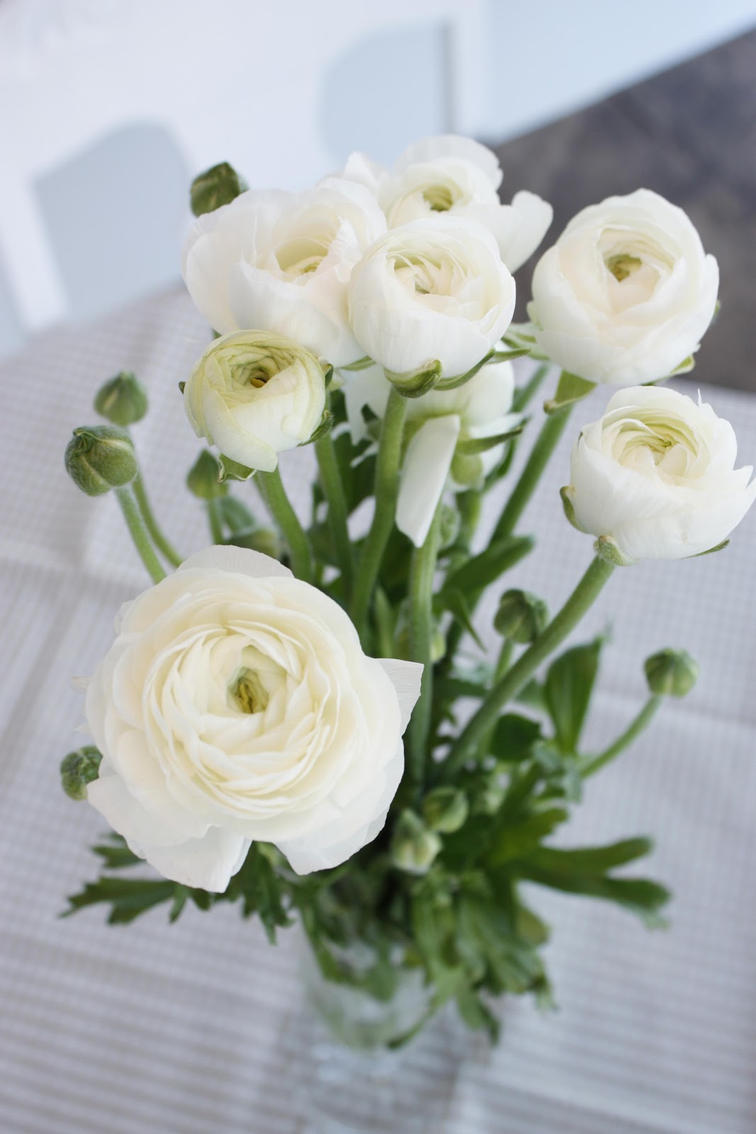 HJERTERO.com: Ruter og ranunkler