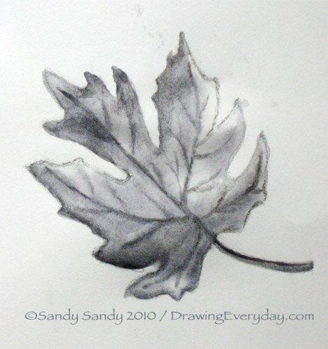 *Sketching Every Day*: Maple Leaf Drawing