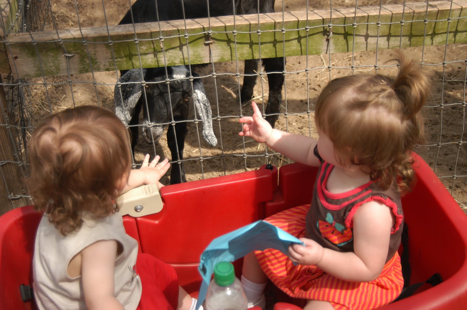 Gwaltney Family: Uncle Donalds Farm with Grandma.