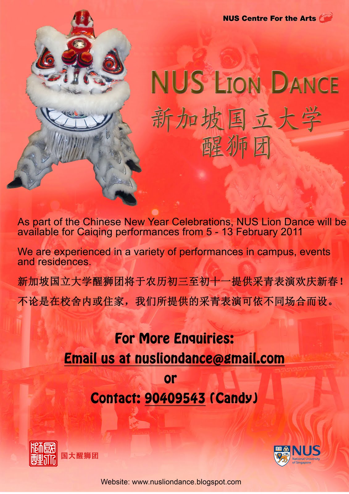 NUS Lion Dance