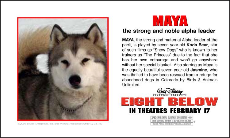 ..taking a break from reality..: eight below (2006)