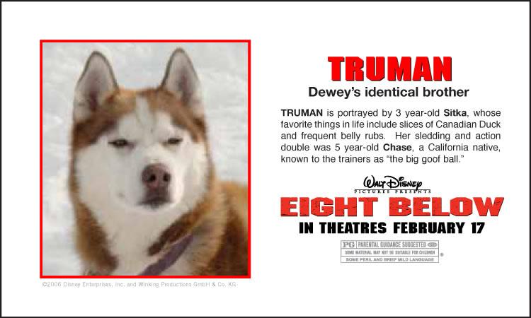 ..taking a break from reality..: eight below (2006)