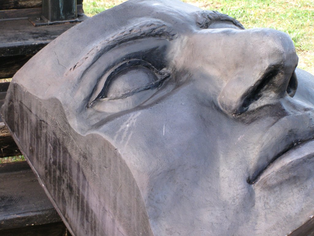 Sydney Daily Photo: November 2009