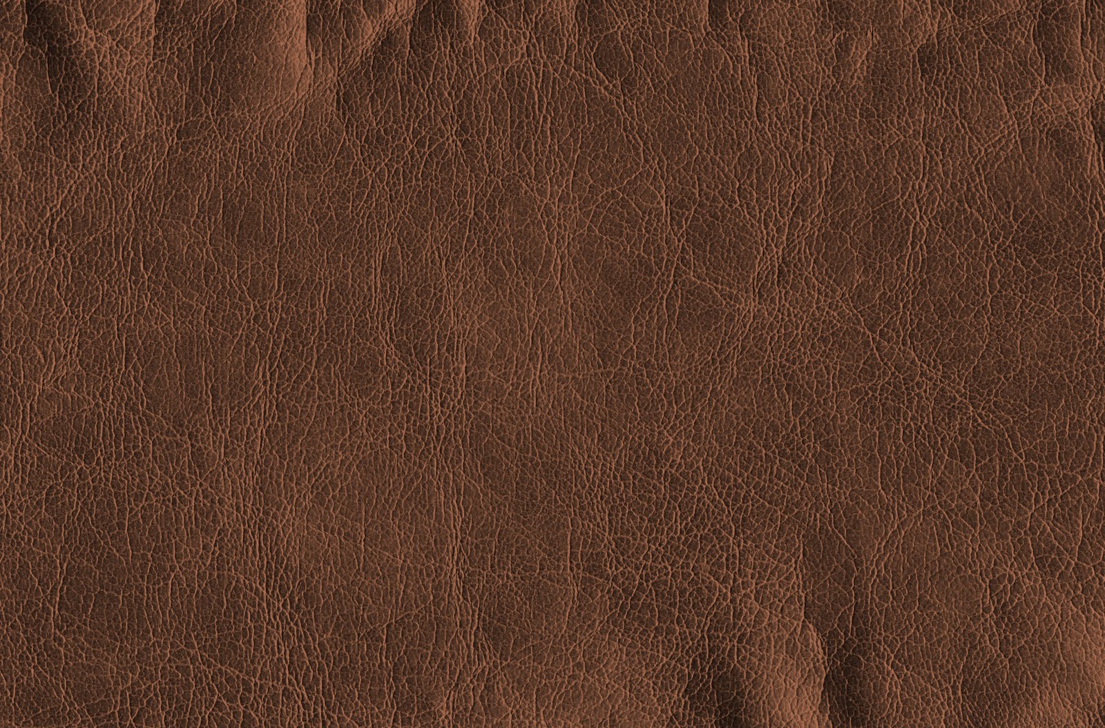 Lewis Taylor 3rd Year Blog: A little texture test